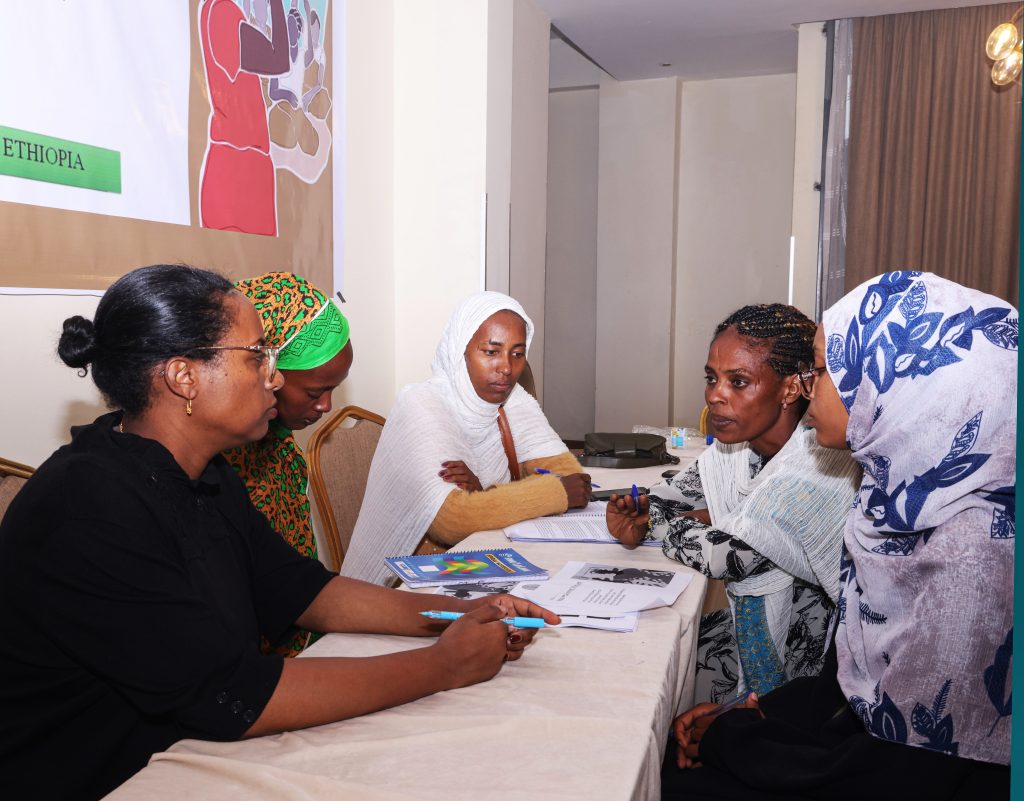 Empowering Survivors in Northern Ethiopia: The “Justice and Peace for ...